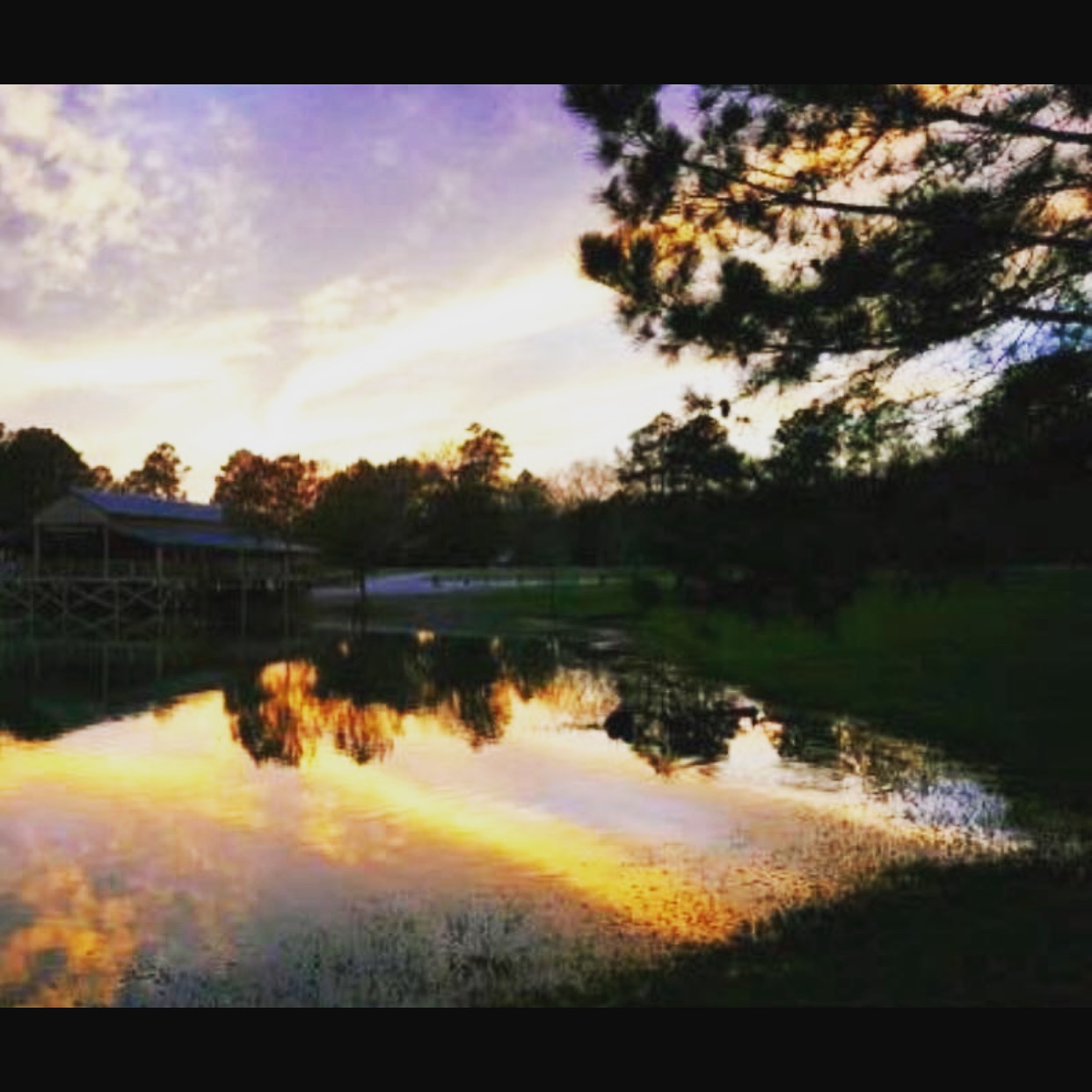 Photo Gallery - Cedar Post Barn